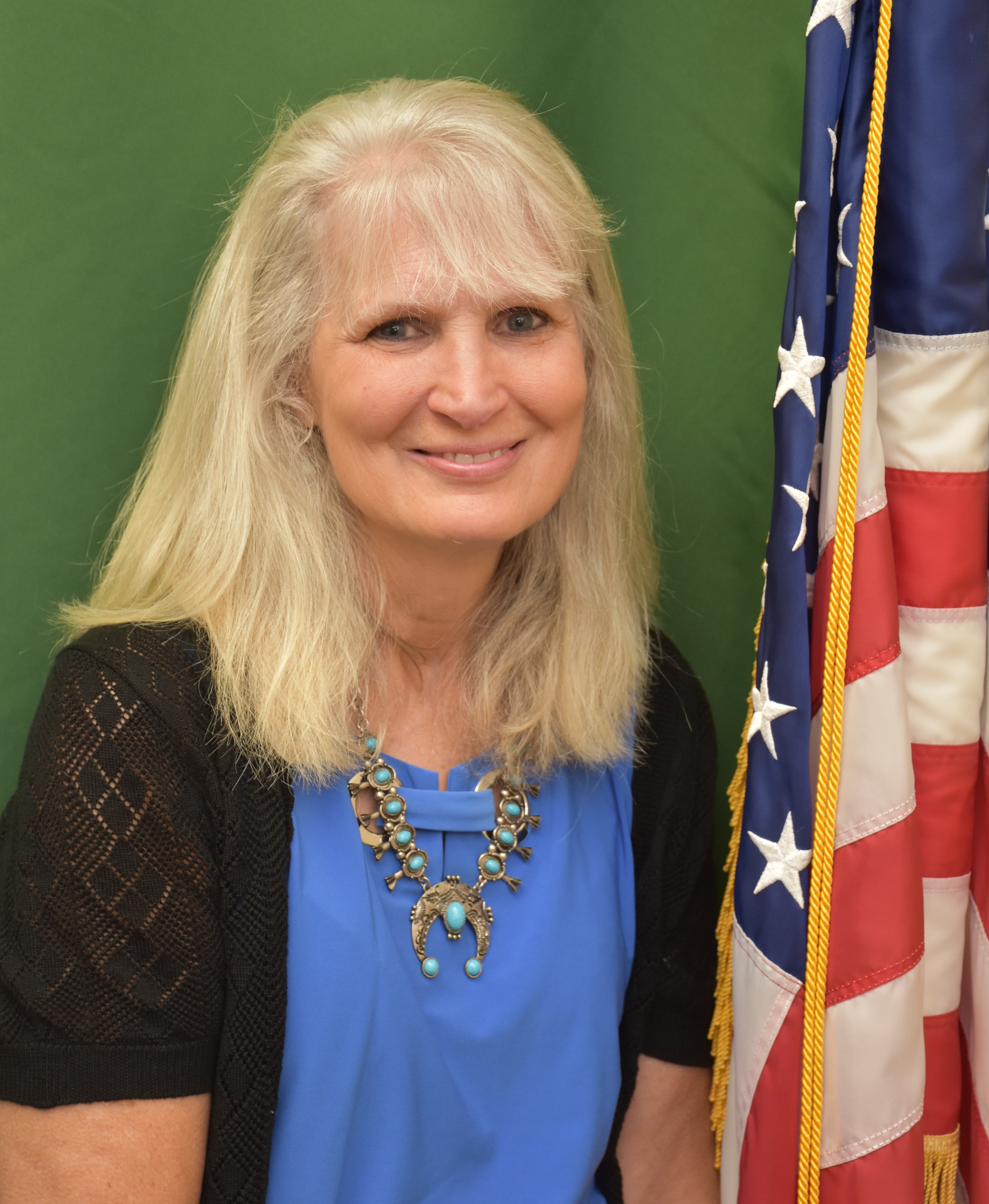 County Treasurer | Sullivan County NY